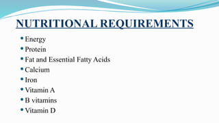 Preschool age nutritional requirements Dr Roopam Gupta PPT.pptx
