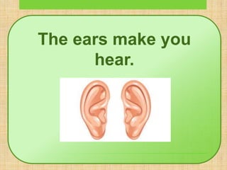 Preschoollesson3 fivesenses | PPT