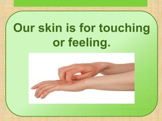 Preschoollesson3 fivesenses | PPT