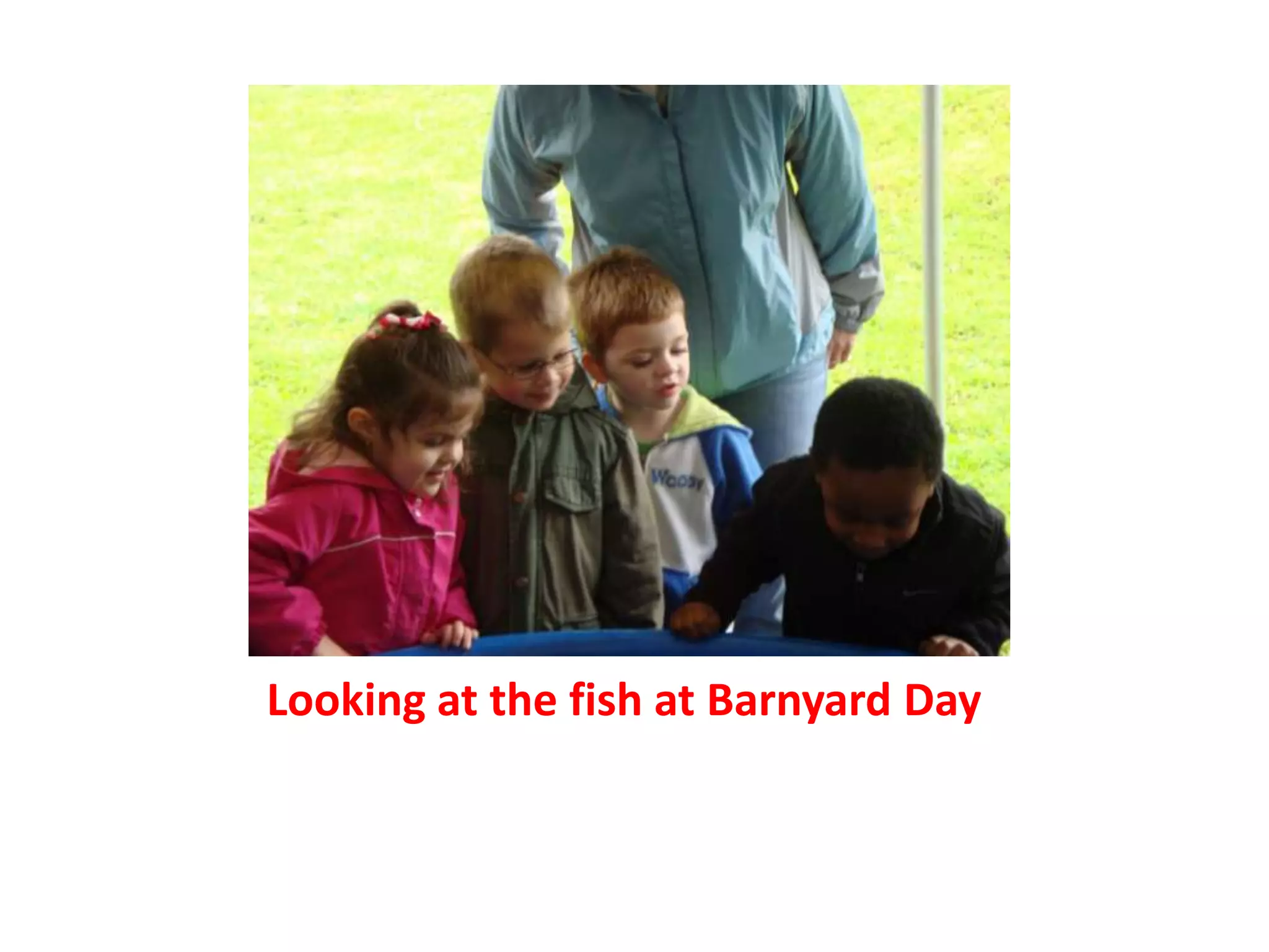 Preschool picture slideshow | PPT