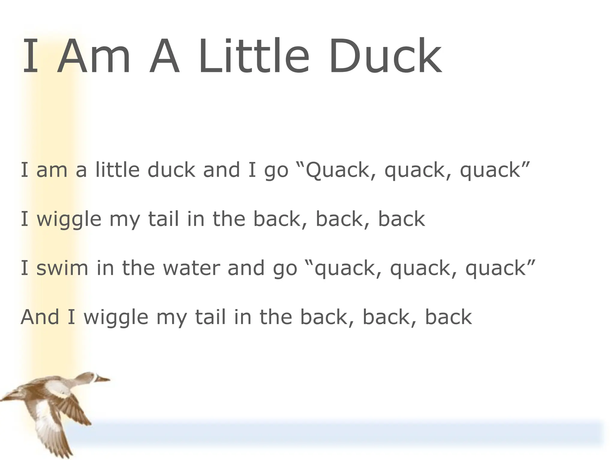 25-30 minute preschool storytime - ducks | PPTX