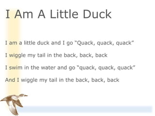 25-30 minute preschool storytime - ducks | PPTX