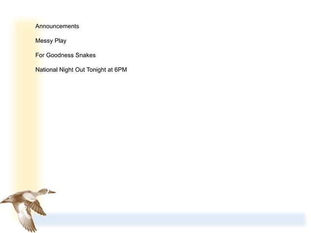 25-30 minute preschool storytime - ducks | PPT