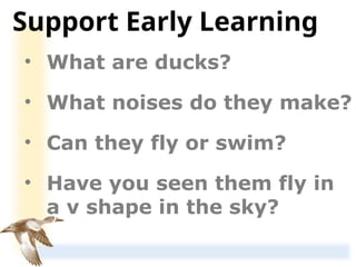 25-30 minute preschool storytime - ducks | PPTX