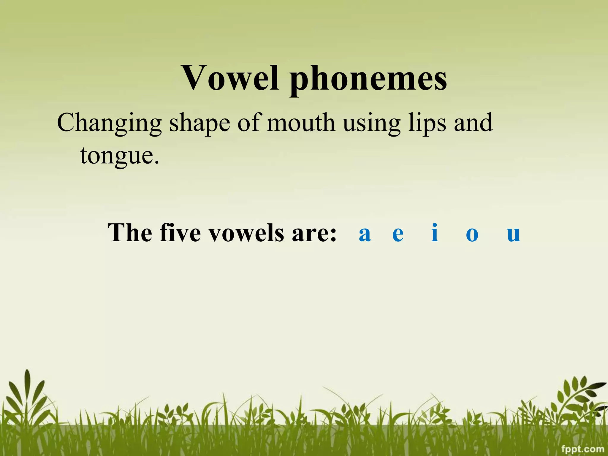 Preschool teachers Training.pptx