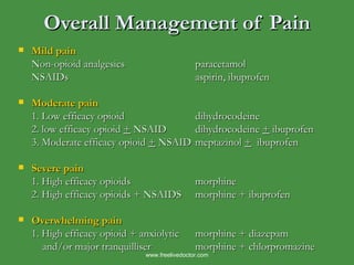 Prescibing analgesics | PPT