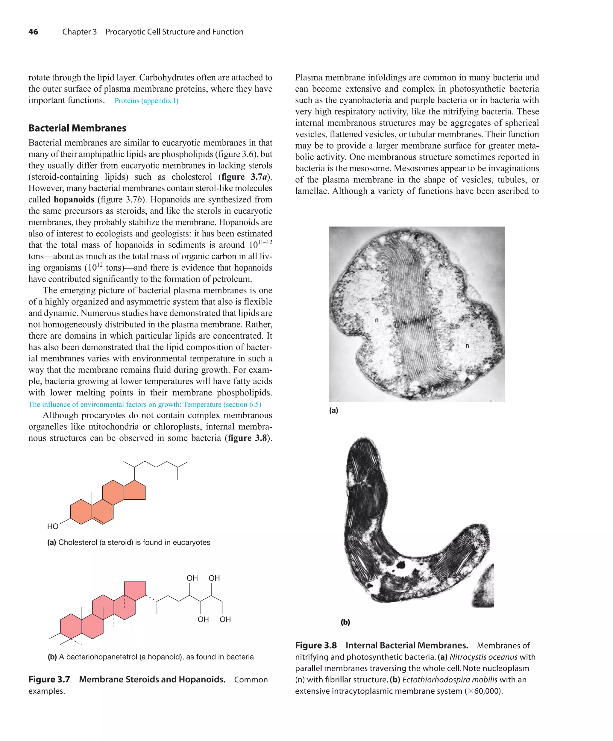 Prescott Microbiology 7th Edition.pdf