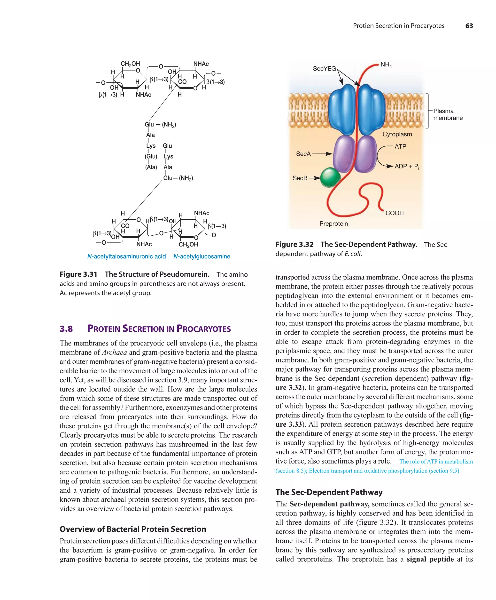 Prescott Microbiology 7th Edition.pdf