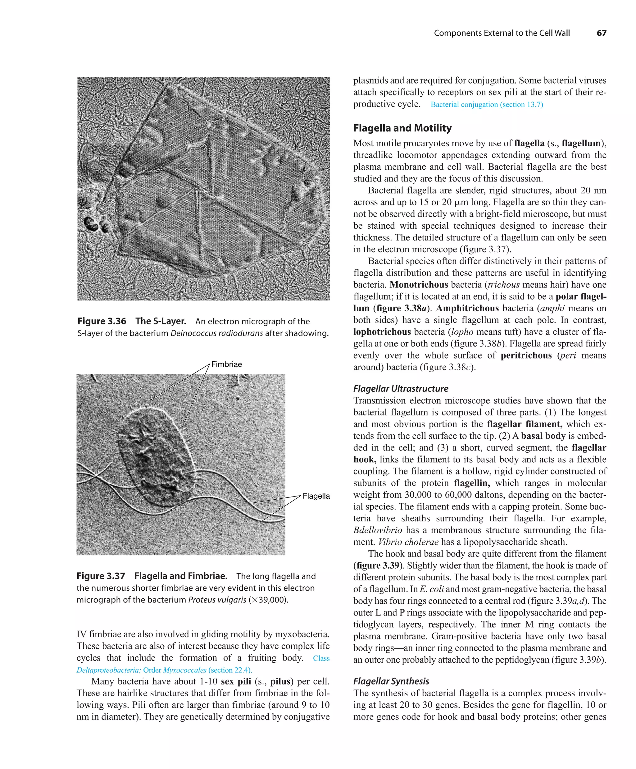 Prescott Microbiology 7th Edition.pdf