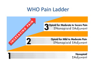 Prescribing for pain in palliative care | PPT
