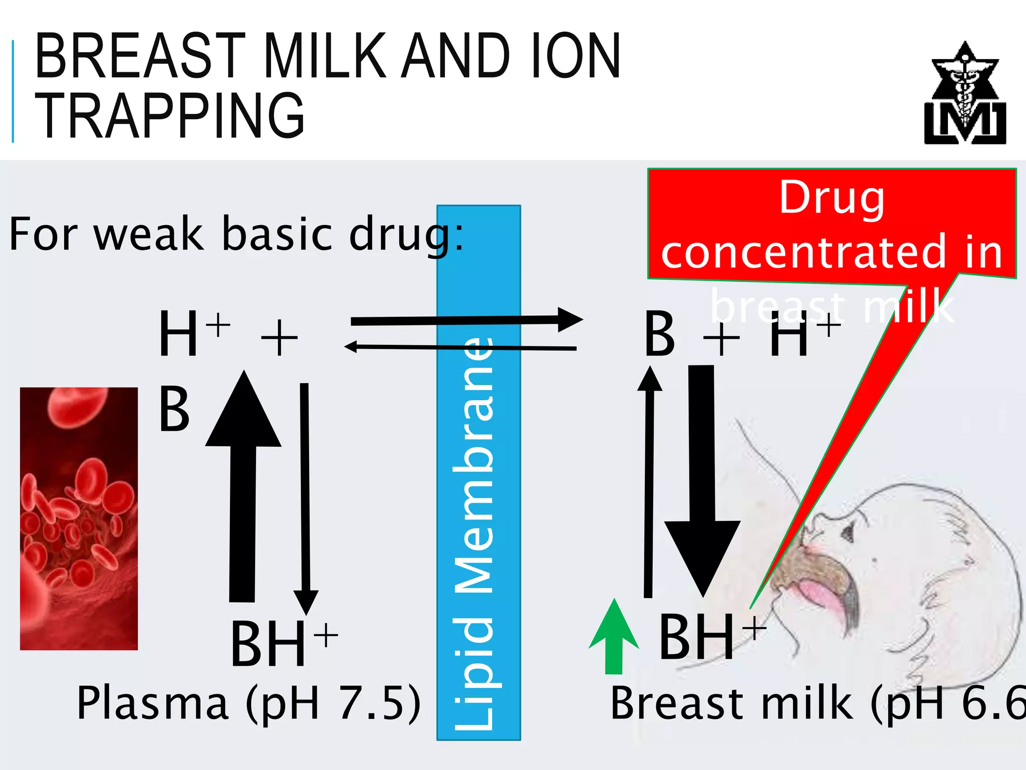 Prescribing to lactating mother | PPTX