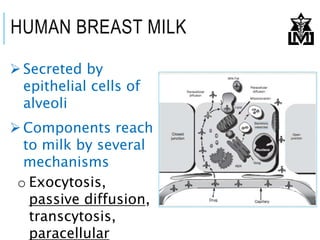 Prescribing to lactating mother | PPTX