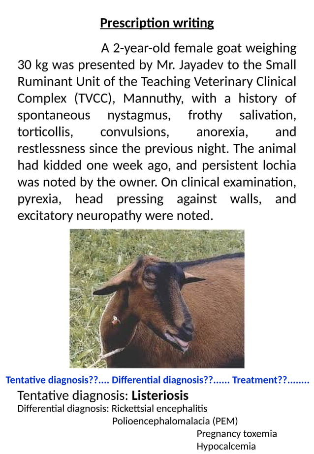 Veterinary prescription writing for Veterinarians | PPTX