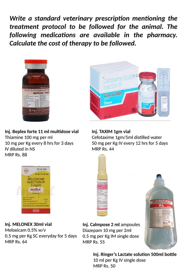 Veterinary prescription writing for Veterinarians | PPTX