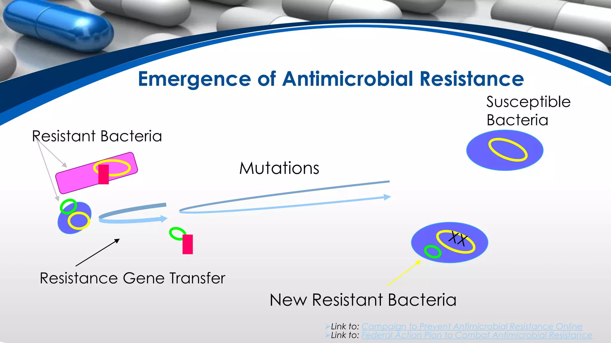 Antibiotic Resistance | PPT