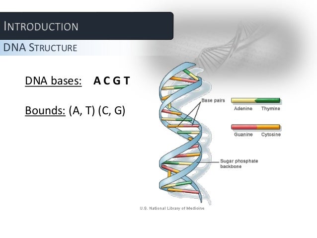 Parallel Dna Sequence Alignment