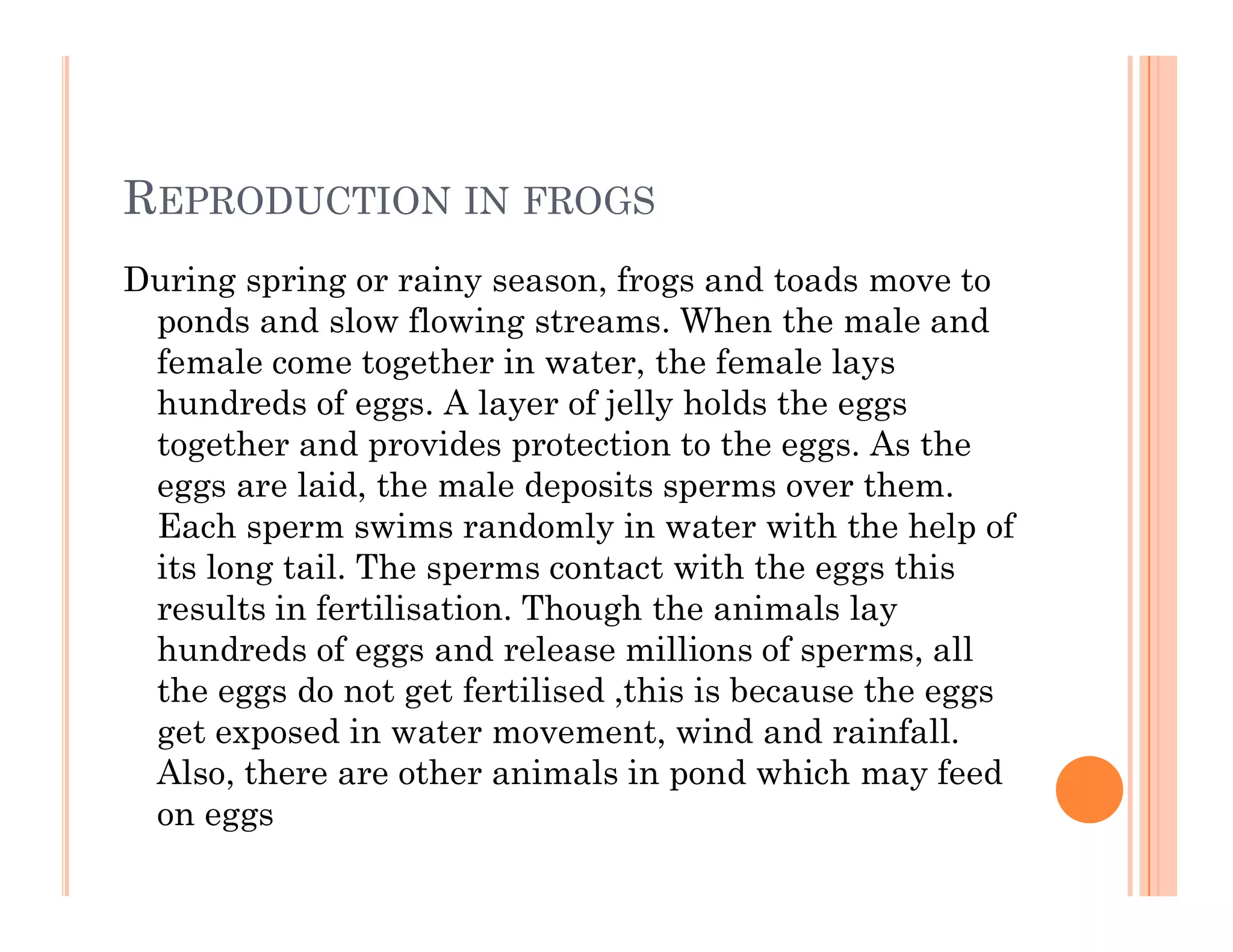 Preseantation on reproduction in animals | PDF