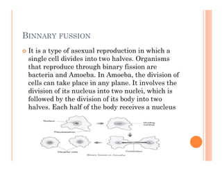 Preseantation on reproduction in animals | PPT | Free Download