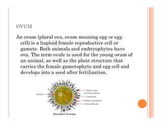 Preseantation on reproduction in animals | PPT | Free Download