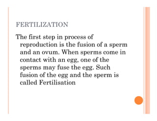 Preseantation on reproduction in animals | PDF