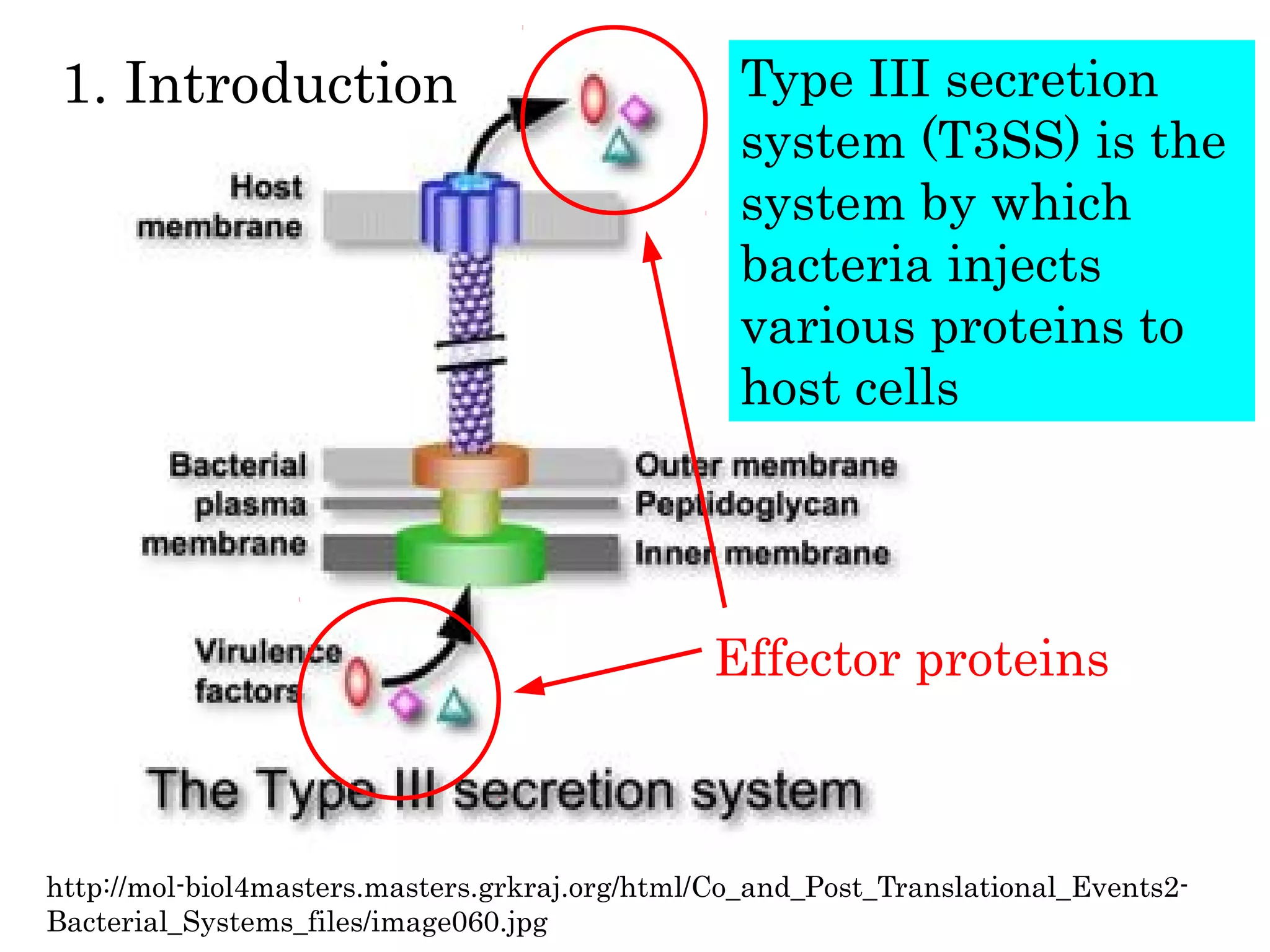 Discrimination of symbiotic/parasitic bacterial type III secretion ...
