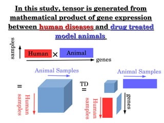 Identification of Candidate Drugs for Heart Failure using Tensor Decomposition-Based ...