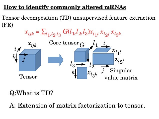 Tensor Decomposition­based Unsupervised Feature Extraction Identifie…