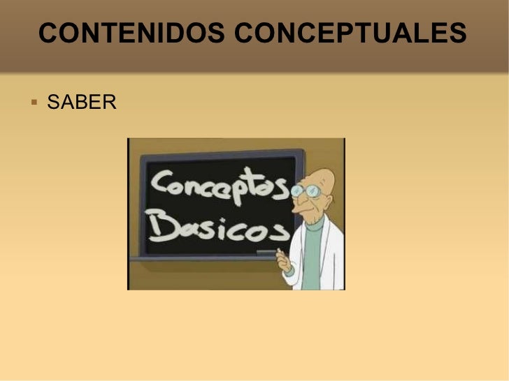 Contenidos Conceptuales