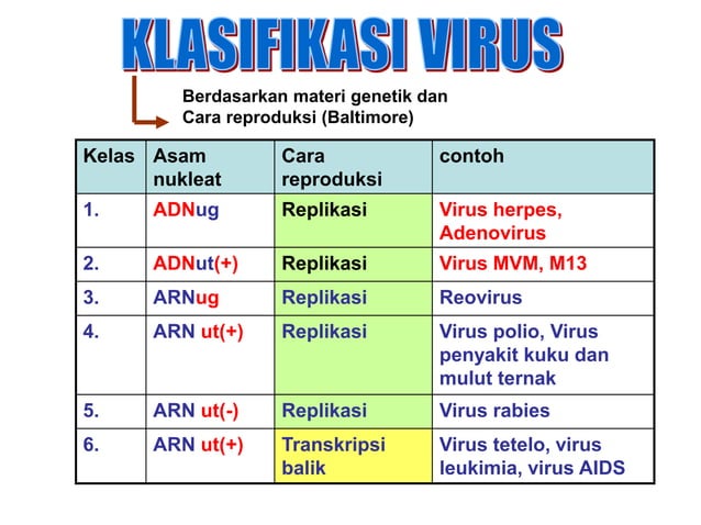 Presen-VIRUS.ppt