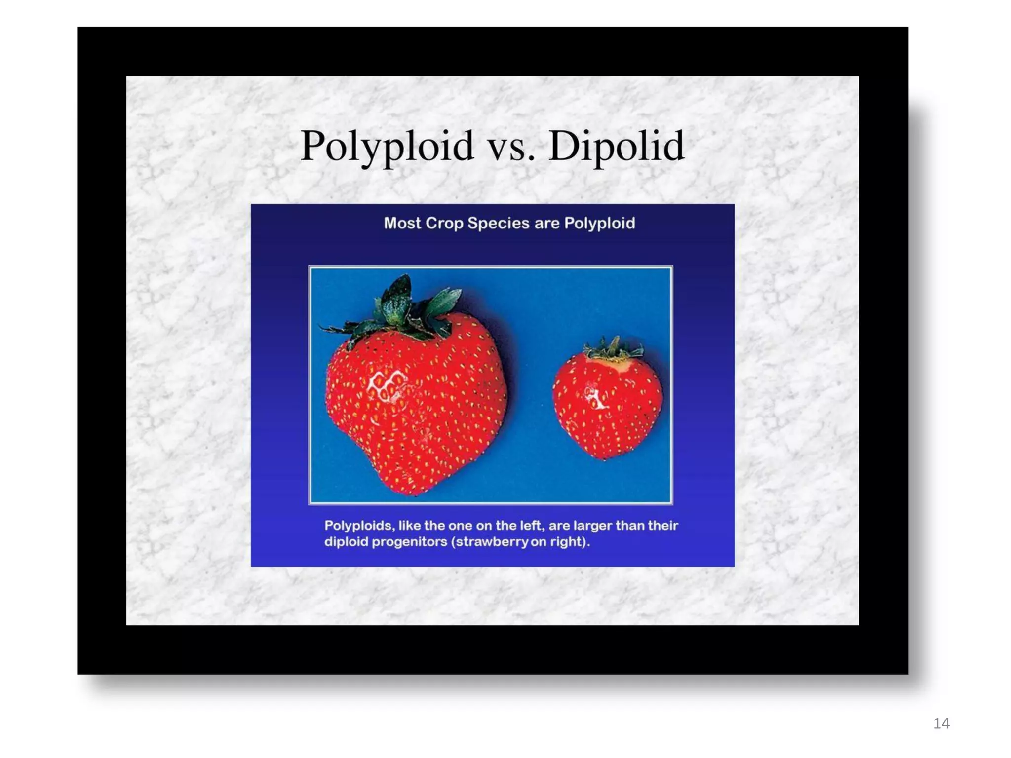 monoploidy definition and application of monoploidy in agriculture | PDF