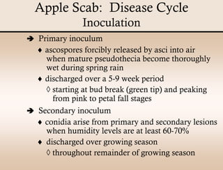Apple Scab Presentation | PDF