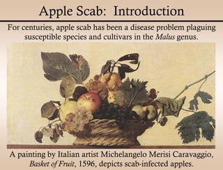 Apple Scab Presentation | PDF