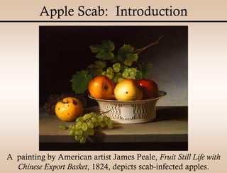 Apple Scab Presentation | PDF
