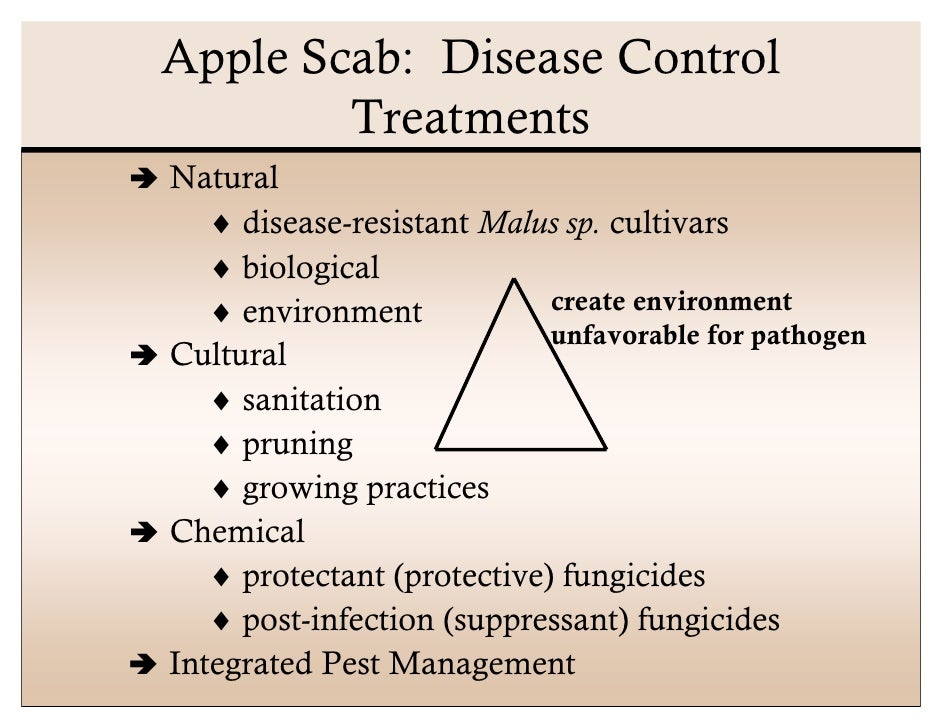 Apple Scab Presentation