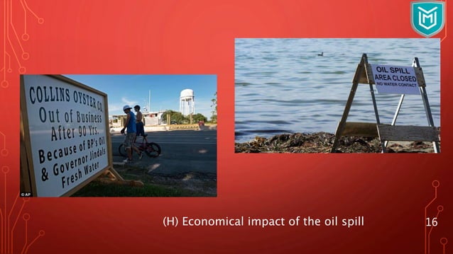 The oil spill disaster, deep-water horizon | PPT
