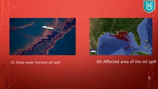 The oil spill disaster, deep-water horizon | PPTX | Environment | Science