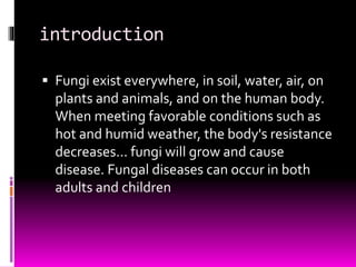 Presenattion 02 Class fungus and diseses.pptx