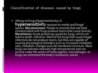 Presenattion 02 Class fungus and diseses.pptx