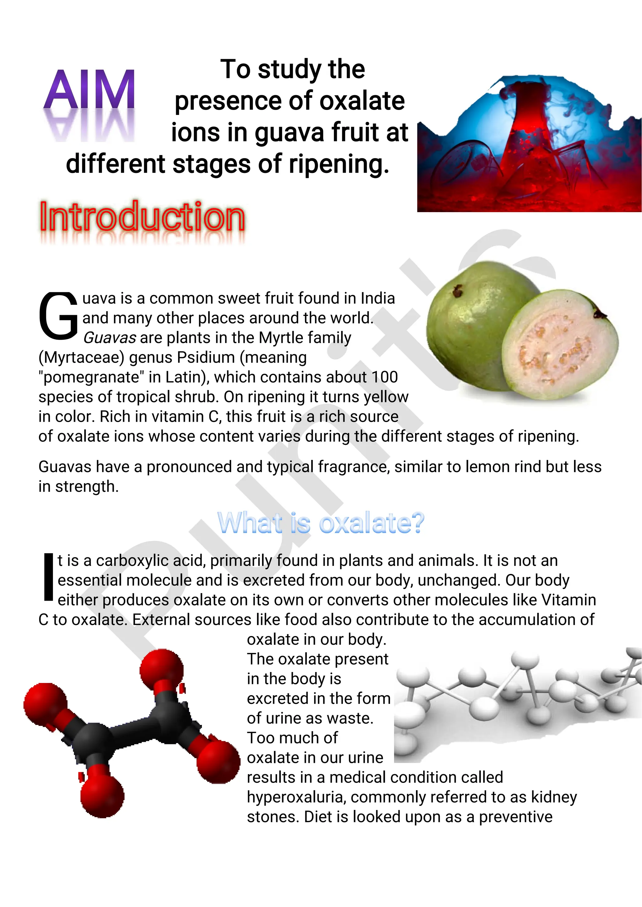 Presence_of_oxalate_ions_in_Guava_Chemis.pdf