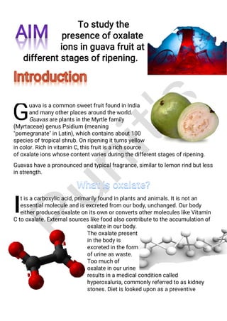 Presence_of_oxalate_ions_in_Guava_Chemis.pdf