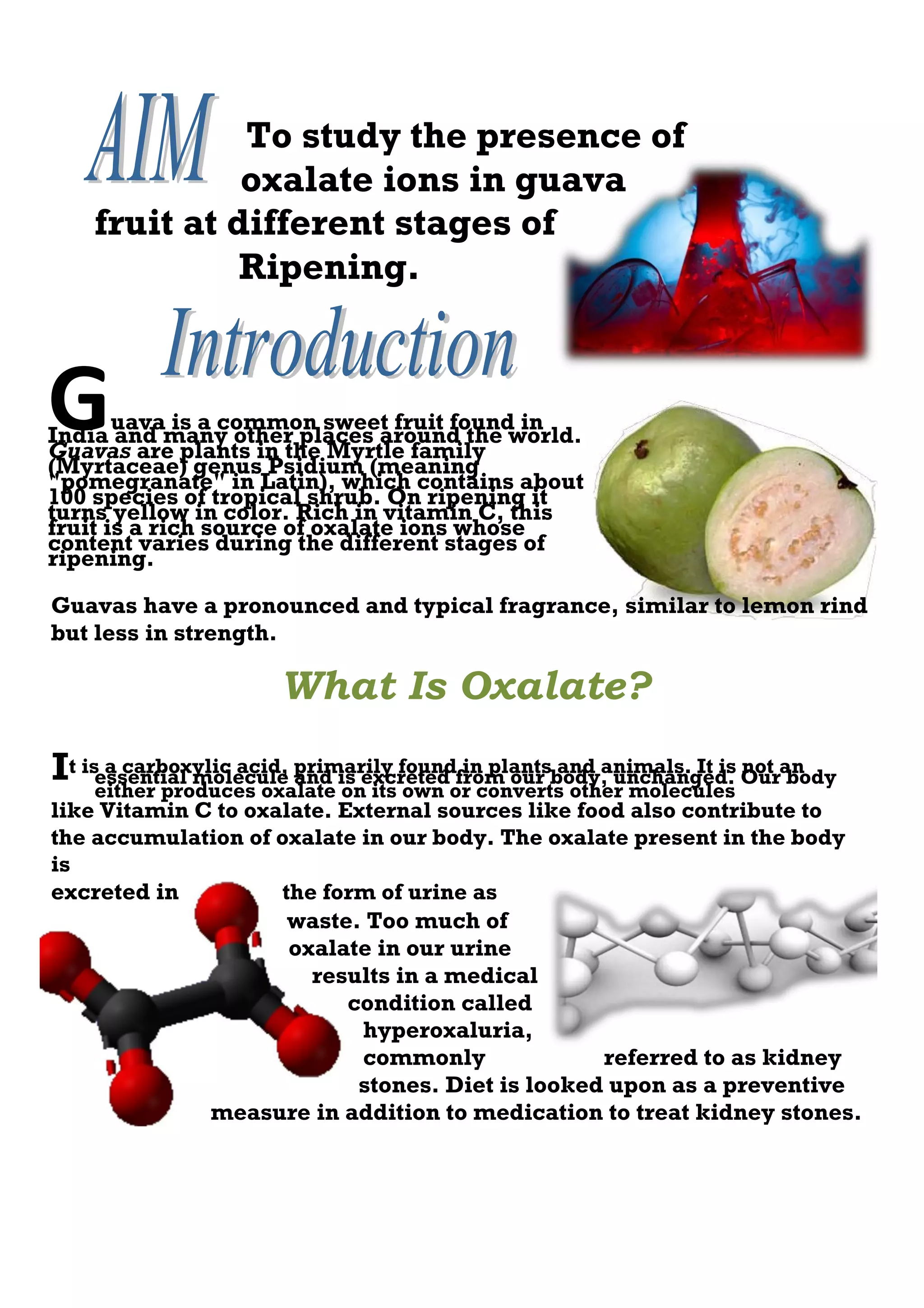 Presence of oxalate ions in guava | DOC