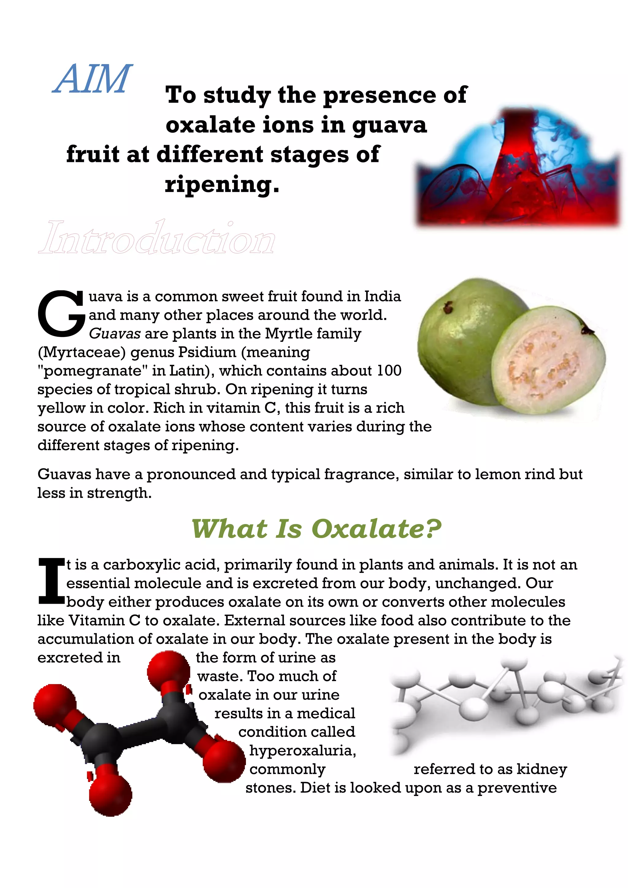 Presence Of Oxalate Ions In Guava | PDF