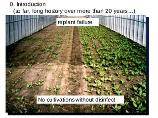 Disease suppressive soil has both diverse and uniform ecology ...