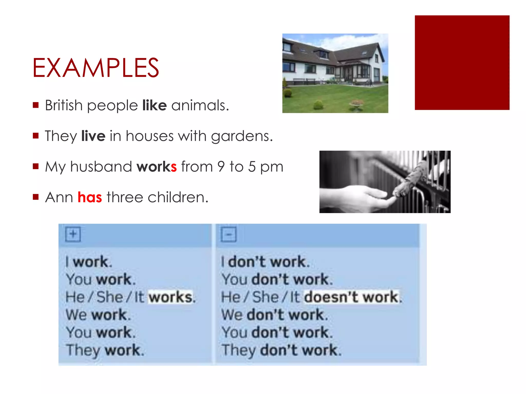 Present simple | PPTX