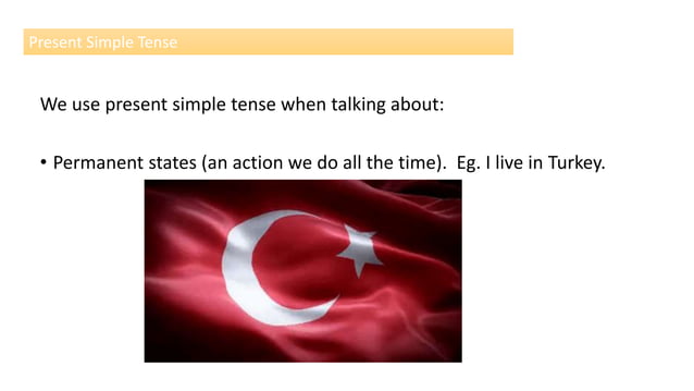 PRESENT.SIMPLE.ppt