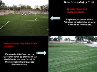Pasto sintetico | PPS