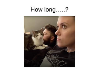 present-perfect-how-long-since-for-flashcards_93229.ppt