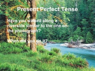 Present perfect | PPT