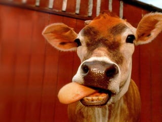 present-s22.12 simple-and-continuous-flashcards-fun-activities-games ...