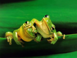 present-s22.12 simple-and-continuous-flashcards-fun-activities-games ...